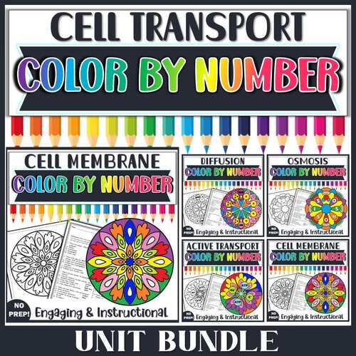 Active and Passive Cell Transport Color by Number Unit Bundle | TPT