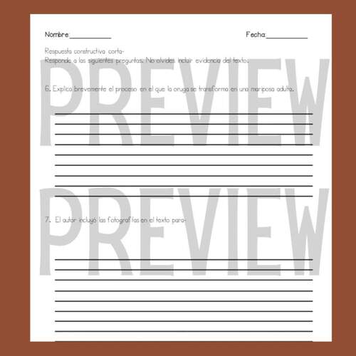 Spanish Reading Comprehension- Texto Informativo Monarcas | TPT