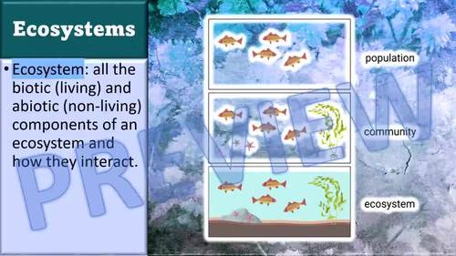 AP Environmental Science (APES) Introduction to Ecosystems Activity ...