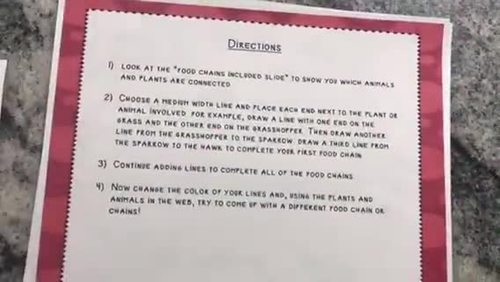 DIGITAL or PRINTABLE INTERACTIVE BUILD A FOOD WEB ACTIVITY Distance ...