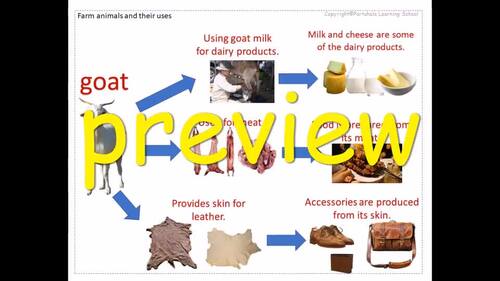 Farm Adult Animals Uses-What do they provide?- Information Slides ...
