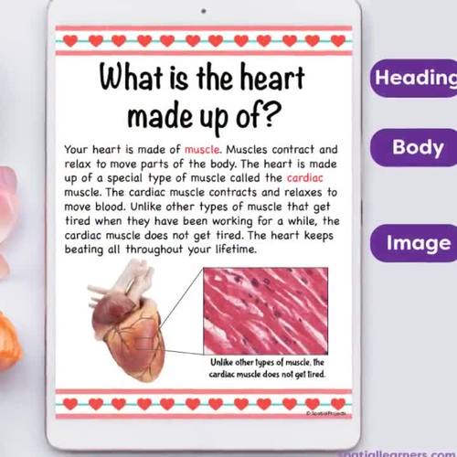 All About the Human Heart by Ruby Jane Ortiz | TPT