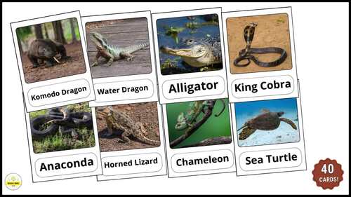 Reptiles Animal Classification Flashcards, ESL Vocabulary Photo Picture ...
