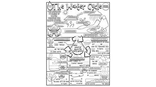 The Water Cycle Doodle Notes, Quiz + Slides | Hydrologic Cycle NGSS