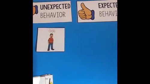 Expected and Unexpected Behavior Sort | Social Emotional Task Box