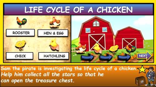 Chicken Life Cycle Unit Bundle:Presentation | Drag and Drop | Puzzles ...