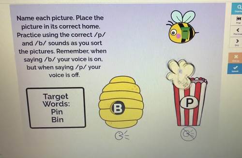 P and B Minimal Pair Boom Card by Speechie Worksheet Station | TPT