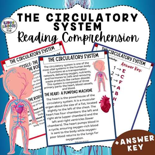 The Circulatory System Reading Comprehension Worksheet | Body Systems ...