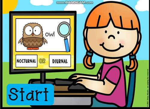 Nocturnal and diurnal power point game by Murphys lesson design studio