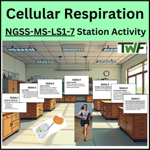 Cellular Respiration - Station Activity - NGSS-MS-LS1-7 by Teach With Fergy
