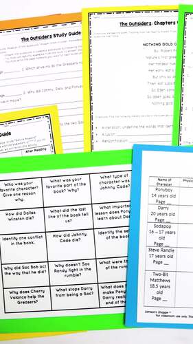 The Outsiders Novel S.E. Hinton Reading Activity Unit by Teaching Muse