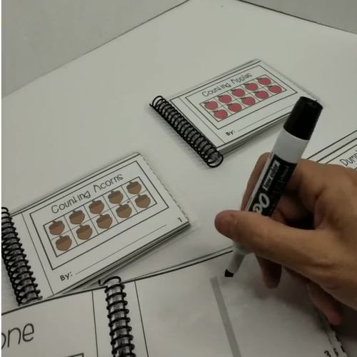 COUNTING MINI BOOKS by Snicker-doodles Pre-k Market | TPT