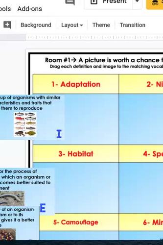 Adaptations Digital Escape Room, Adaptations Activity Pages, No Prep