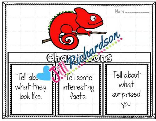 Chameleons Writing Reptiles and Amphibians Kindergarten First Grade ESL ...