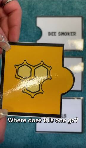 All about Honey Bees - ESL lesson for kids by My Esl World 123 | TPT