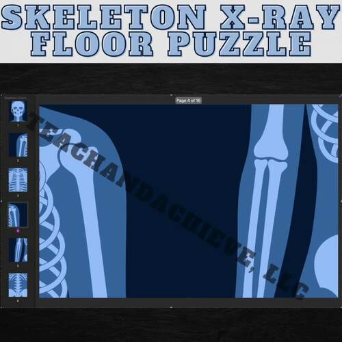 Skeleton Skeletal System Bundle, Human Body System Printables, X-Ray Puzzle