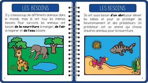 FRENCH Grade 2 Science - Growth and Changes in Animals [ONTARIO]