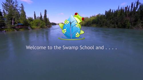 Swamp School | Teachers Pay Teachers