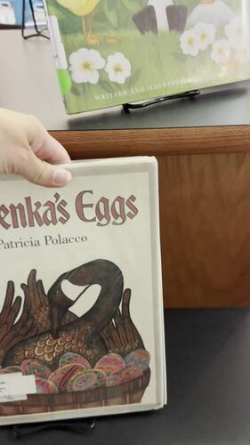 Silly Goose Reading Challenges, Posters & Bookmarks by Love Our Library