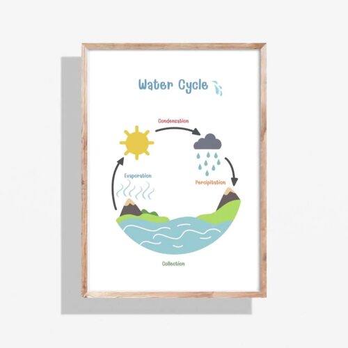 Water Cycle Poster | Educational Science Classroom Wall Art | TPT
