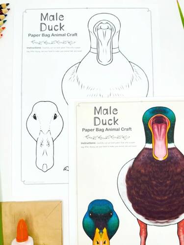 Duck | Paper Bag Puppet | Printable Craft | Ducks by Simply Schoolgirl