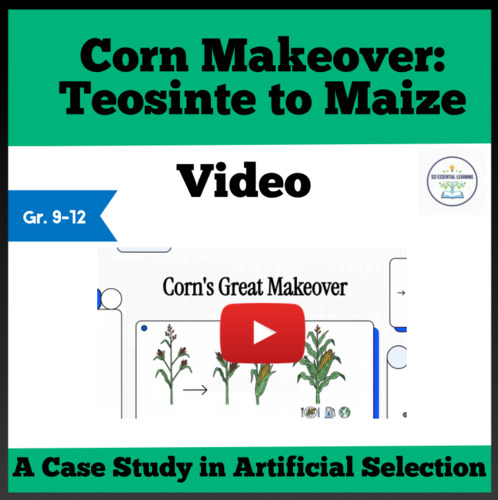 Corn Makeover: Teosinte to Maize - Case Study in Artificial Selection