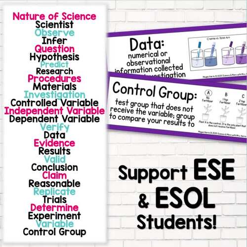 Nature of Science (Scientific Method) Vocabulary Word Wall Posters