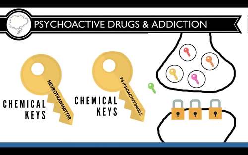 AP Psychology | States of Consciousness PowerPoint *12 Unit Path (Block)