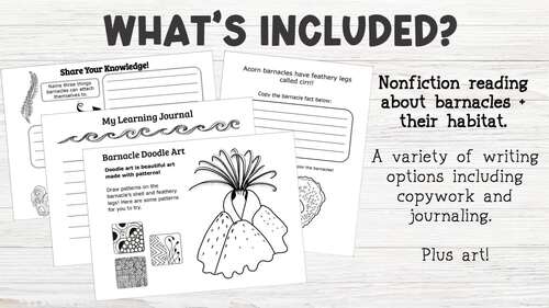 What Are Barnacles? Ocean Worksheets, Unit Study, Writing, Puzzles & Art