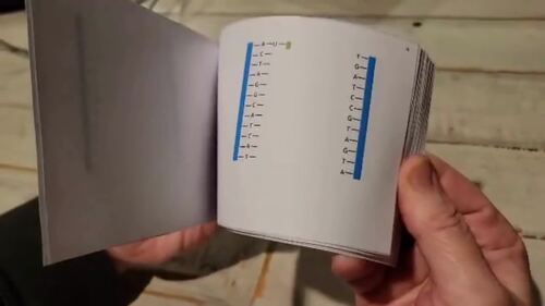 Protein Synthesis Flip Book by JayZee | TPT