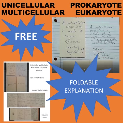 Unicellular Multicellular Prokaryote Eukaryote Foldable VIDEO | TPT
