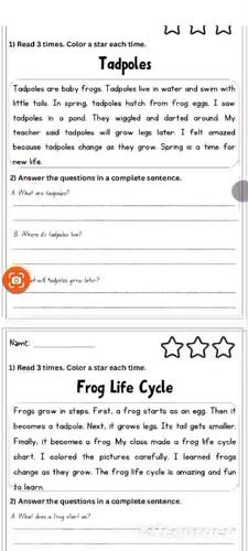 Frogs and Ponds Reading Passages | Spring Reading Comprehension | 1st ...