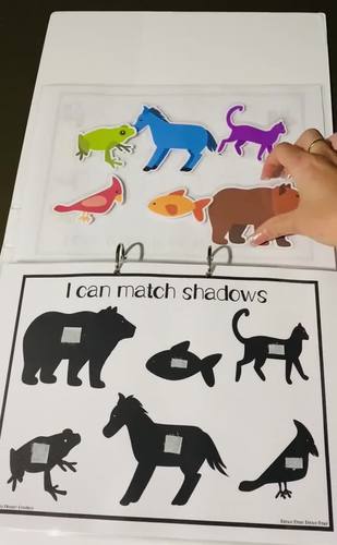 Brown Bear, Brown Bear Interactive Learning Book / Busy Binder | TpT