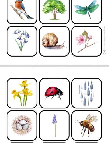 Spring Memory Match, Spring Card Game, Visual Discrimination, Spring ...