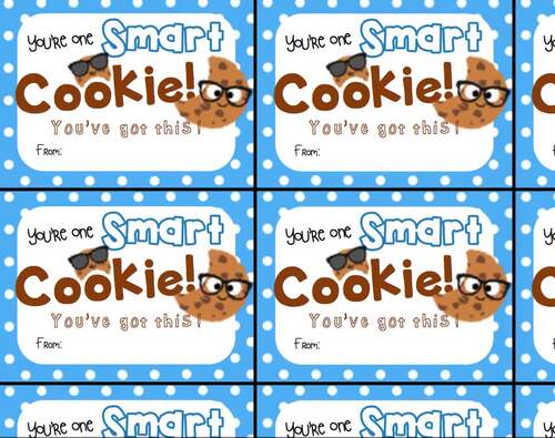 Cookie Testing Motivation Gift Tag- You are one Smart Cookie! You've ...