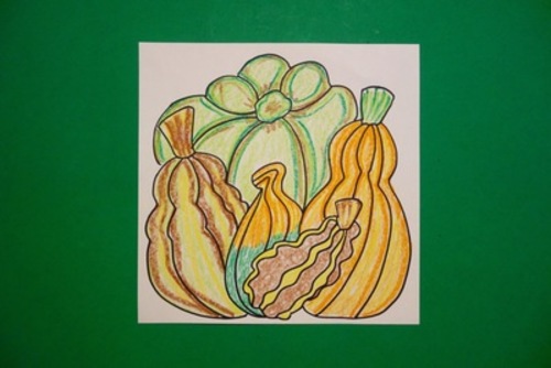 Let's Draw Squash & Gourds! by Patty Fernandez Artist | TPT