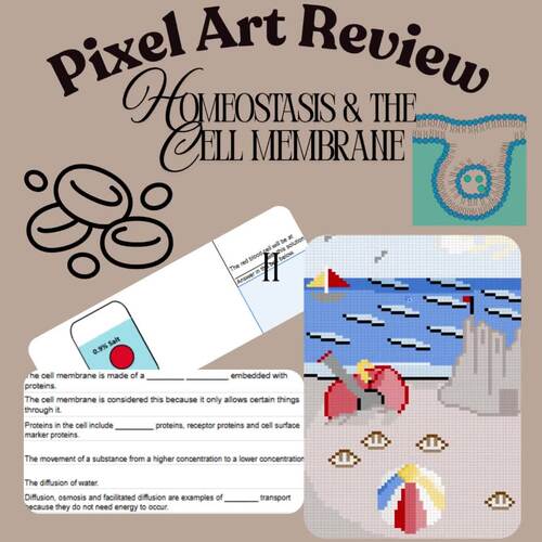 Cell Membrane and Homeostasis Biology Pixel Art Review | TPT