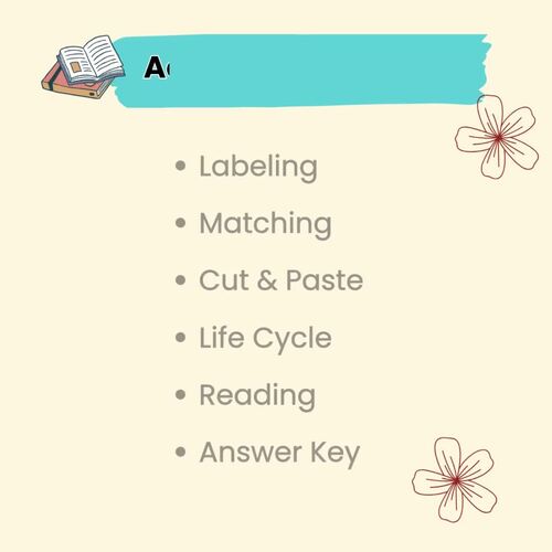 Plant Unit Worksheets for Grade 2 | Parts, Life Cycle,Comprehension ...