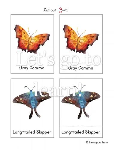 Butterfly 3-Part Cards,21 Types, Nomenclature Cards, Spring, Insects ...