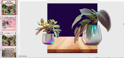 Plant Mock-up, Side View MOVEABLE Mock-up sellers png images by Teach Elite