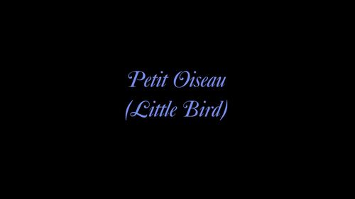 Petit Oiseau (Little Bird) - A Level 4 Piano Study by Yvonne Johnson Music