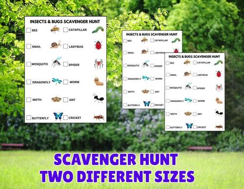 Insects & Bugs Scavenger Hunt - Scavenger Hunt Indoor, Great for ...