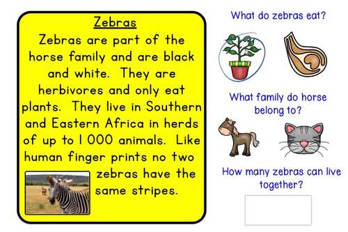 Reading Comprehension K-2 (Pack 3) Boom Cards | TPT