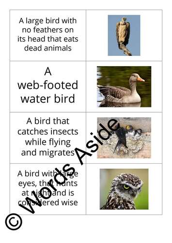 Definitions Reading Writing Vocabulary Puzzles Flash Cards AIR ANIMALS