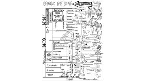 Geologic Time Scale Doodle Notes & Quiz + PowerPoint | TPT