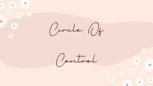 Circle of Control Worksheet | Emotional Regulation Tool | 4 Color ...