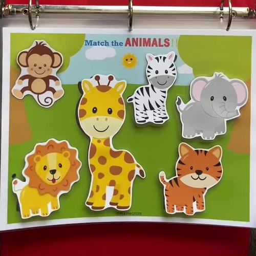 Animals & Bugs Shadow/ Silhouette Matching Activity, Busy Book ...