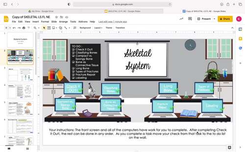 Skeletal System Activity. Learning Stations. Digital and PDF | TpT