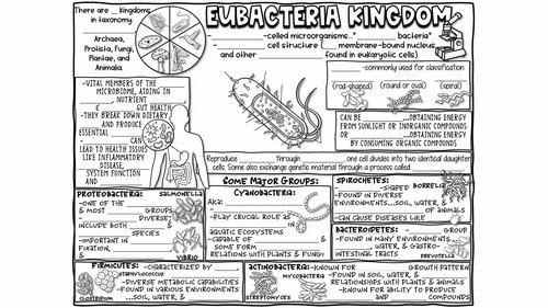 Eubacteria Kingdom Doodle Notes & Quizzes (PDF and Google Form versions)