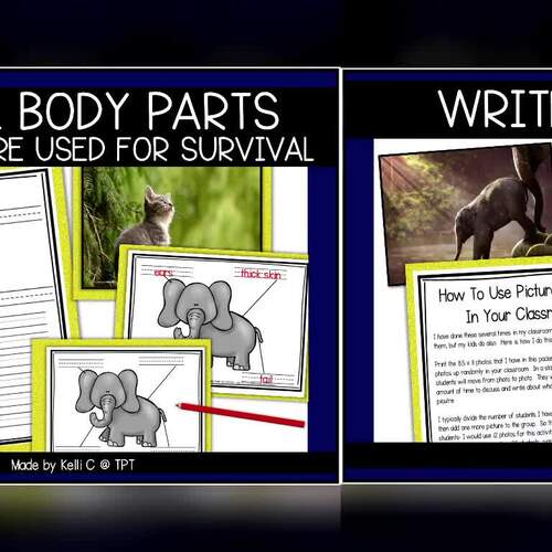 Animal Use of Body Parts to Survive Animal Adaptations Science Mini Unit